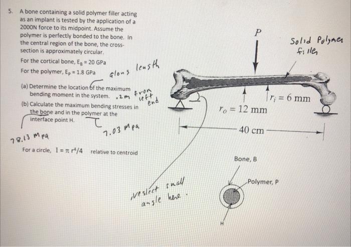 Solved 5. A bone containing a solid polymer filler acting as | Chegg.com