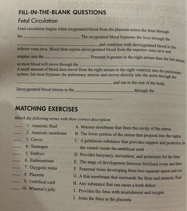 Solved FILL-IN-THE-BLANK QUESTIONS Fetal Circulation Fetal | Chegg.com