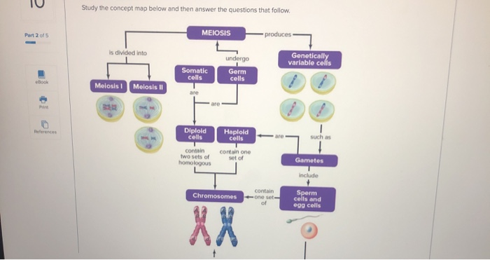 Solved 10 Study the concept map below and then answer the | Chegg.com