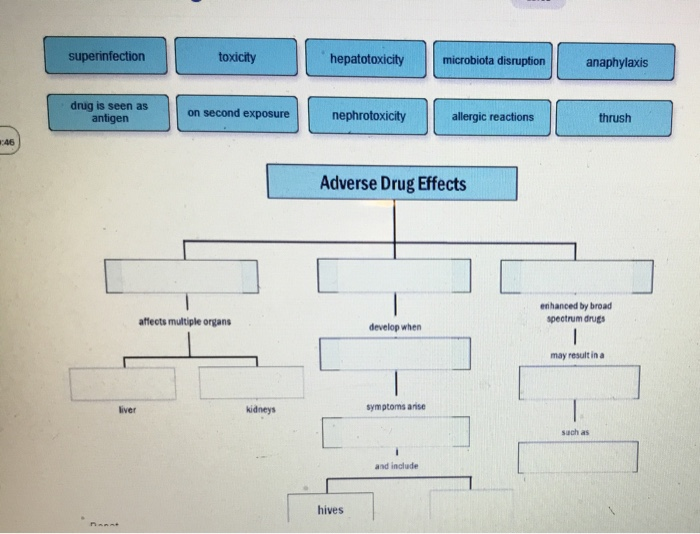 Solved superinfection toxicity hepatotoxicity microbiota | Chegg.com