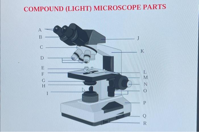 Solved COMPOUND (LIGHT) MICROSCOPE PARTS DISSECTING | Chegg.com