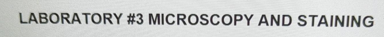 Solved LABORATORY #3 ﻿MICROSCOPY AND STAINING | Chegg.com