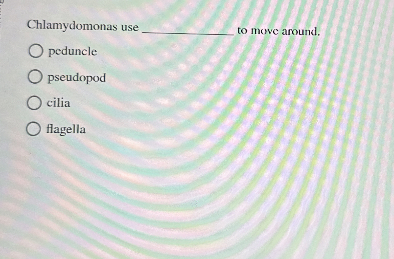 Solved Chlamydomonas useto move | Chegg.com