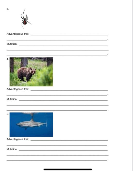 Solved Advantageous Traits Activity Explain how each of the | Chegg.com