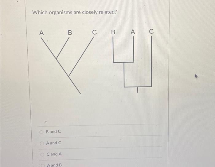Solved Which organisms are closely related? B and C A and C | Chegg.com