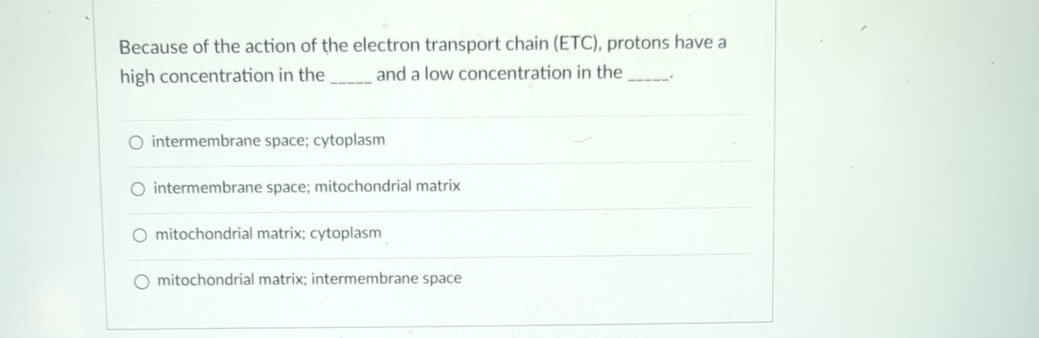 Solved Because of the action of the electron transport chain | Chegg.com
