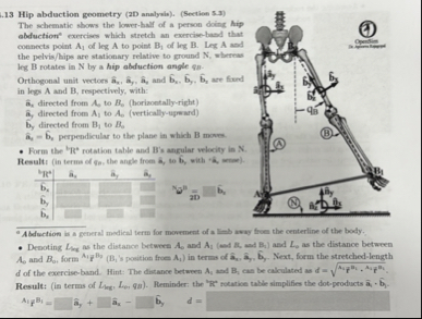 . 13 ﻿Hip abduction geometry (2D analyais). (Seetion | Chegg.com