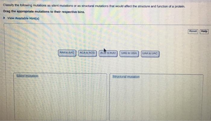 Solved Write the complementary sequence for the following | Chegg.com