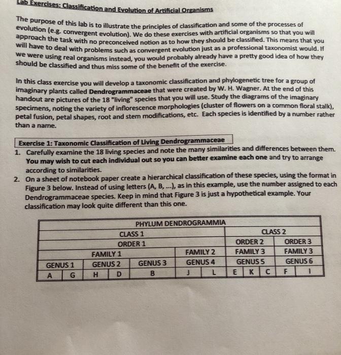 Lab Exercises: Classification and Evolution of | Chegg.com