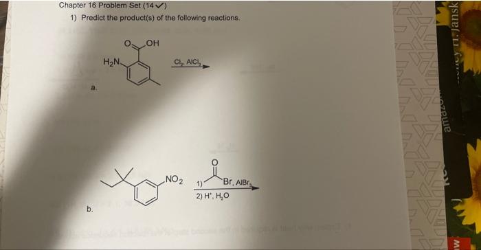 Solved Chapter 16 Problem Set (14∨) 1) Predict the | Chegg.com