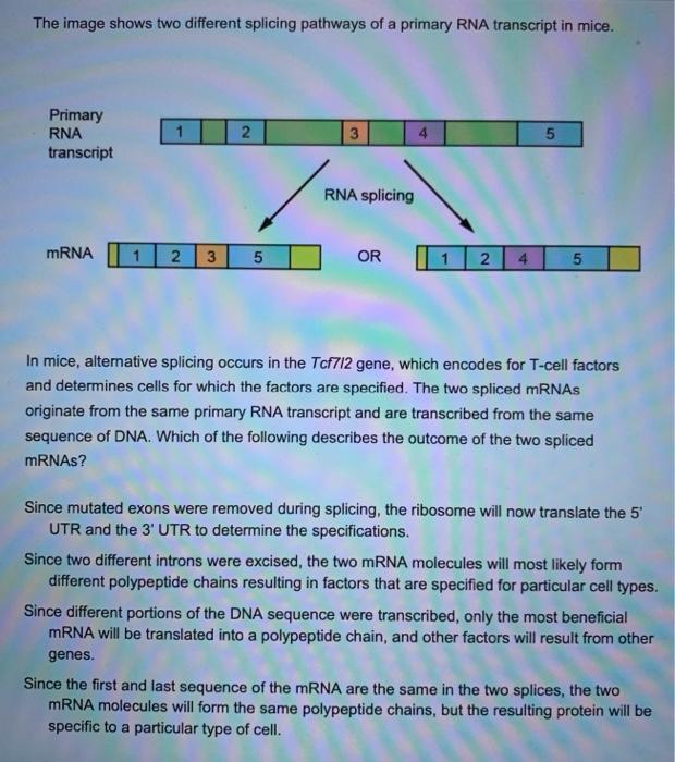 Solved The image shows two different splicing pathways of a | Chegg.com