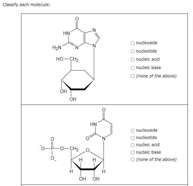 Solved Classify each molecule: nucleoside nucleotide nucleic | Chegg.com