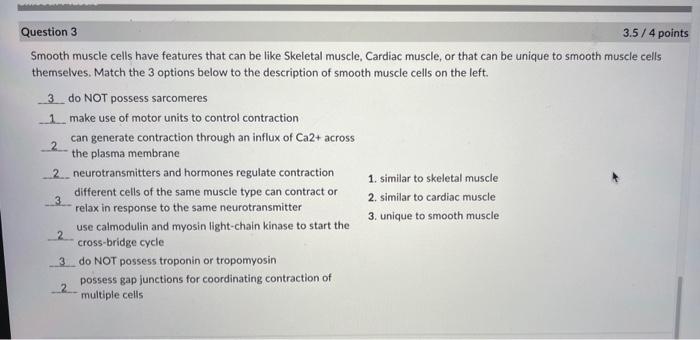 Solved Smooth muscle cells have features that can be like | Chegg.com
