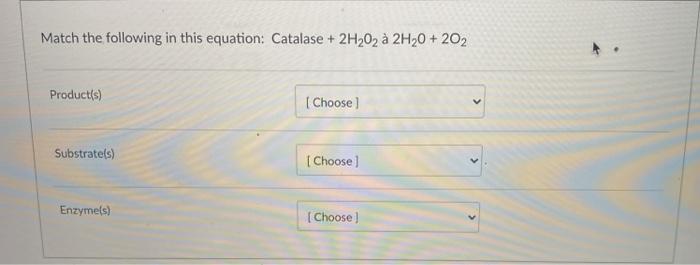 Solved Match the following in this equation: Catalase + | Chegg.com