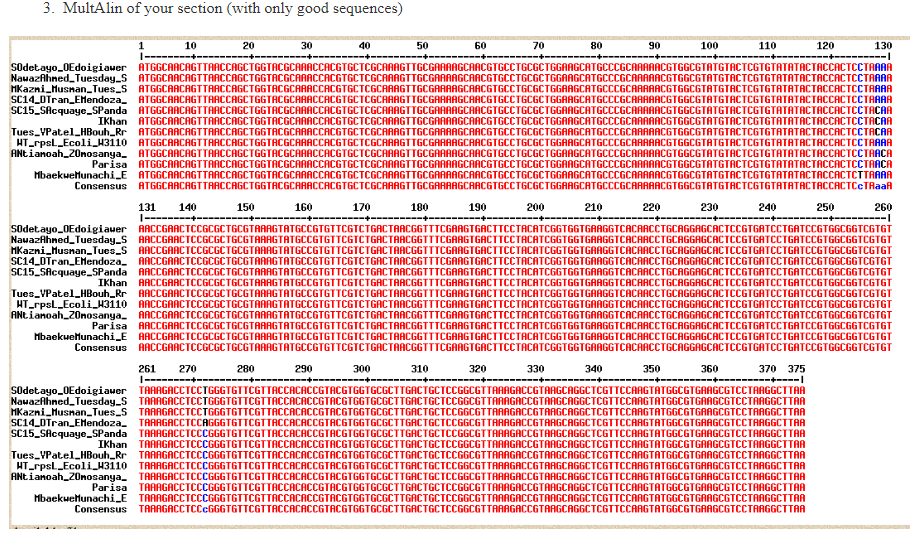 Solved Attach the following annotated alignments:Nucleotide | Chegg.com