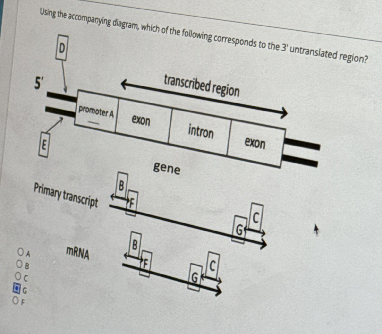 Solved Using the accompanying diagram, which of the | Chegg.com