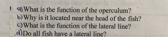 Solved I a) What is the function of the operculum? b) Why is | Chegg.com