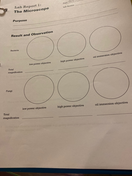 Solved I need help with this lab report please. i would | Chegg.com