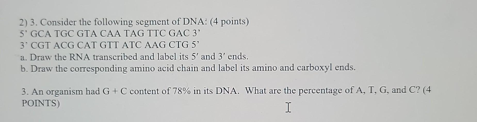 Solved 2) 3. Consider the following segment of DNA: (4 | Chegg.com