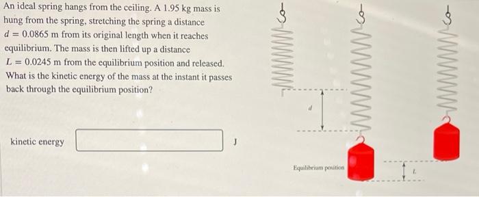Solved An ideal spring hangs from the ceiling. A 1.95 kg | Chegg.com