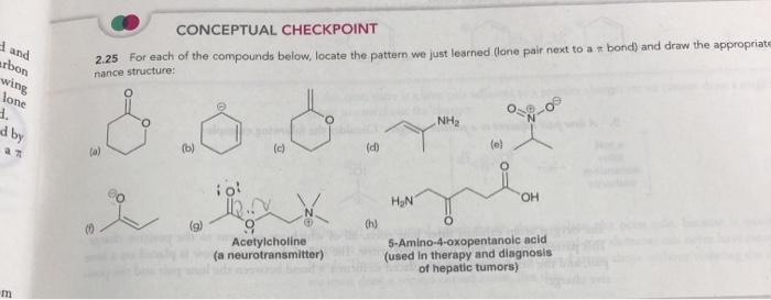 Solved CONCEPTUAL CHECKPOINT bond) and draw the appropriate | Chegg.com