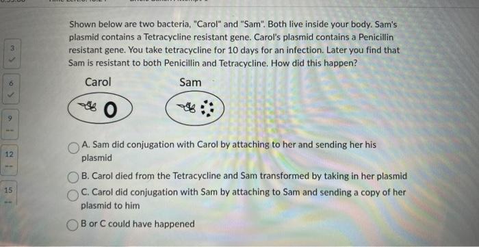 Solved Shown below are two bacteria, "Carol" and "Sam". Both | Chegg.com