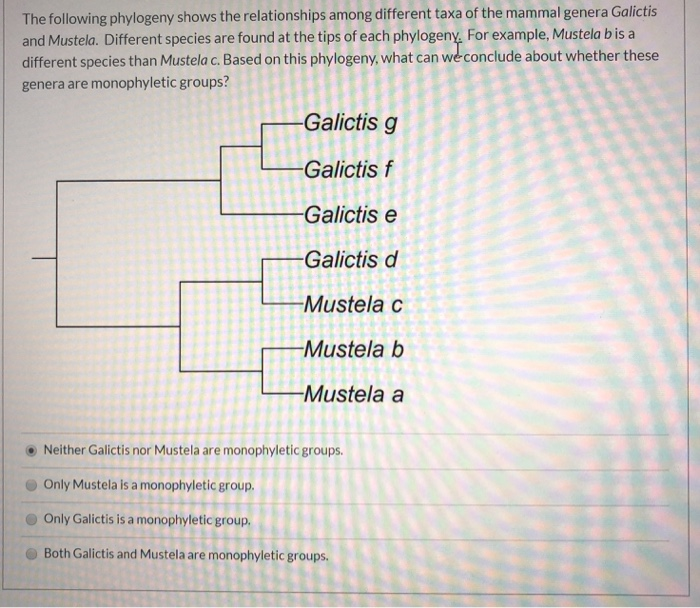 Solved The following phylogeny shows the relationships among | Chegg.com