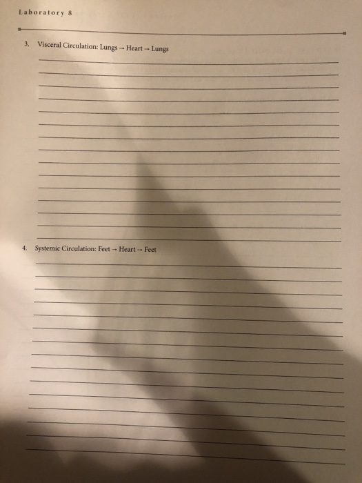 Solved EXERCISE 4. BLOOD TRACING Apply the knowledge gained | Chegg.com