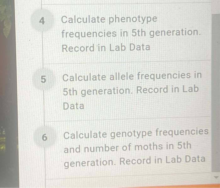 Calculate phenotype frequencies in 5 th generation. | Chegg.com