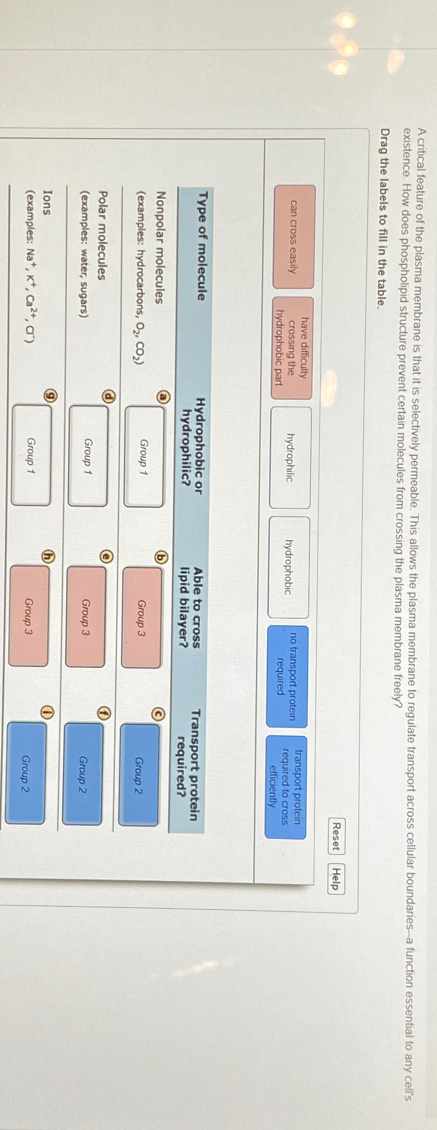 Solved existence. How does phospholipid structure prevent | Chegg.com