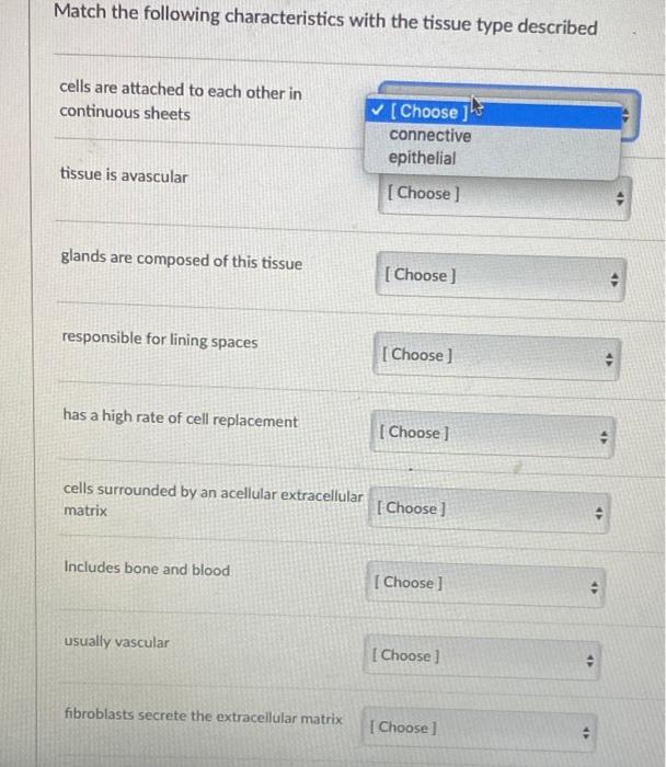 Solved Match the following characteristics with the tissue | Chegg.com