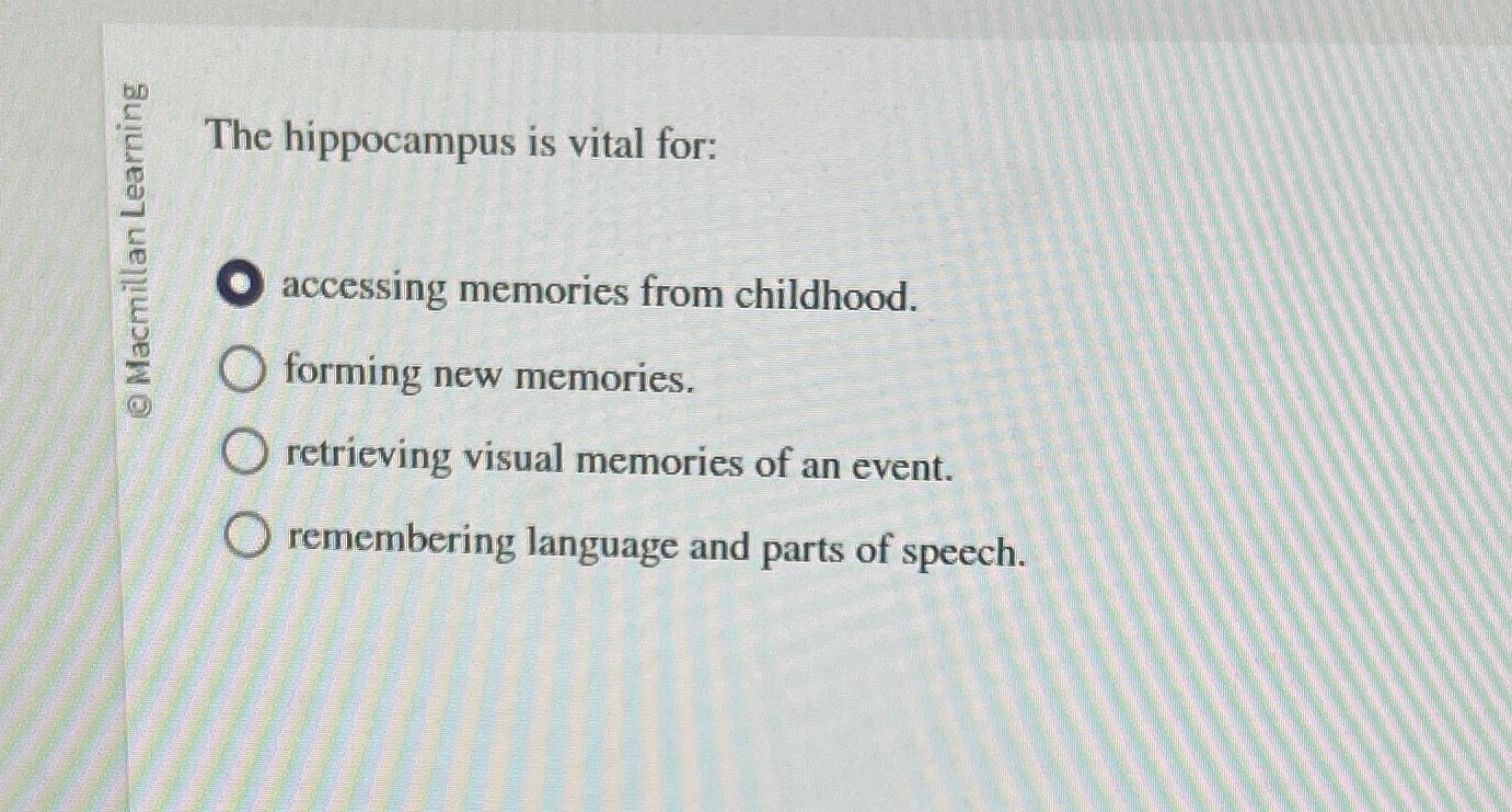 Solved The hippocampus is vital for:accessing memories from | Chegg.com