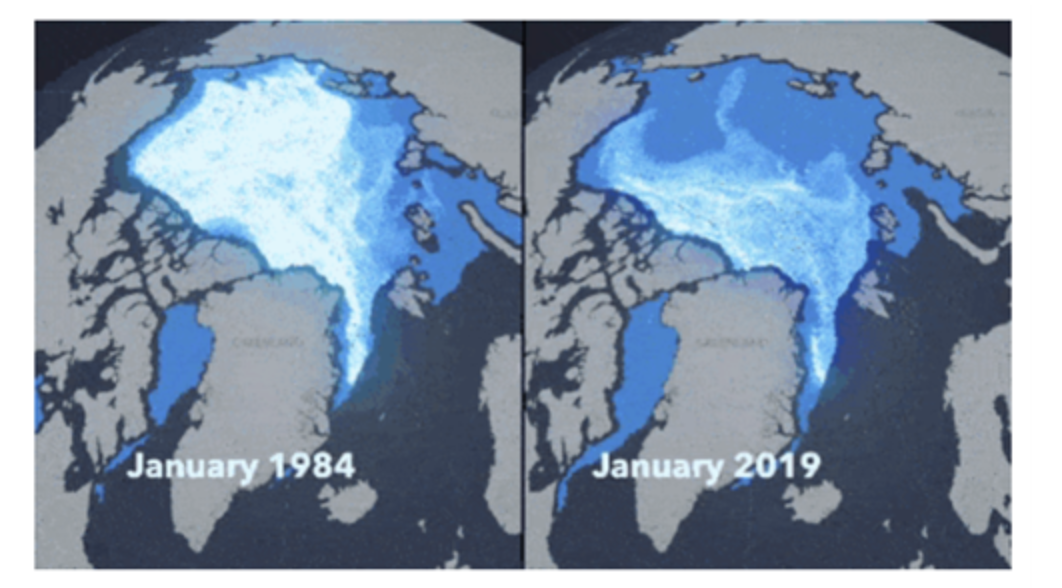 Solved The figure below compares winter sea ice extent in | Chegg.com