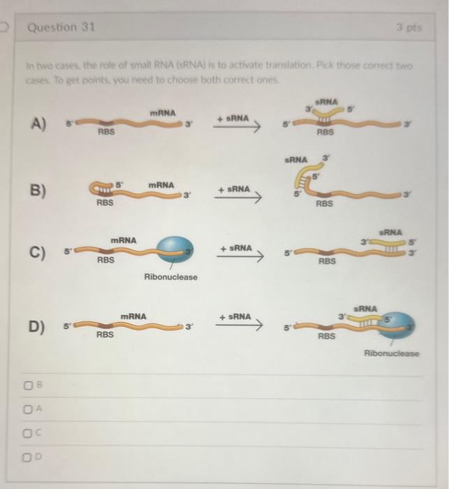 Solved In two cases, the role of small RNA (sRNA) is to | Chegg.com