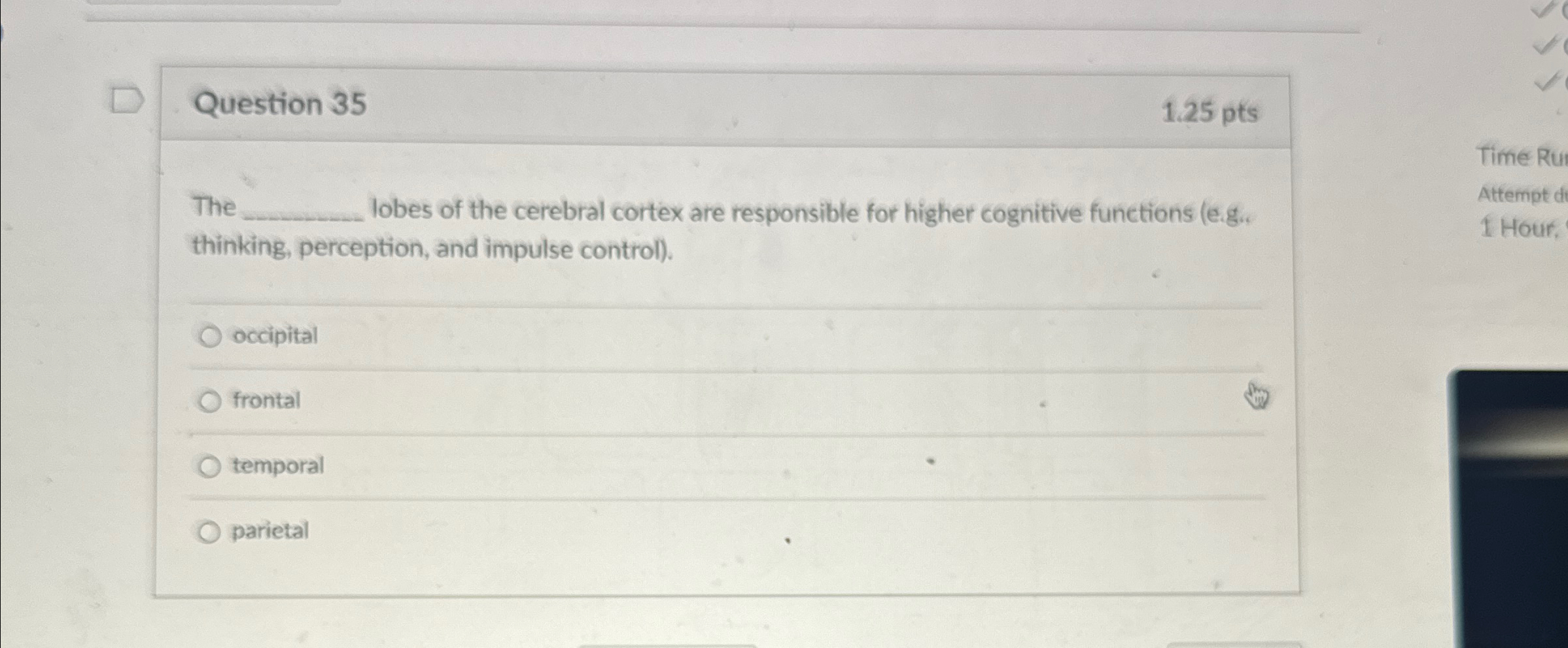 Solved Question 351.25 ﻿ptsThe ﻿lobes of the cerebral | Chegg.com