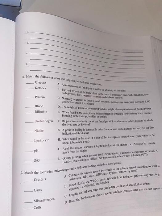 Solved B. The end pedact of fut me in the body is conly seen | Chegg.com