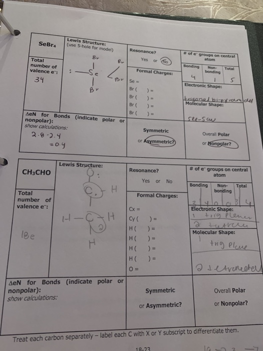 Solved Procedure Part I: Molecular Models and Lewis | Chegg.com