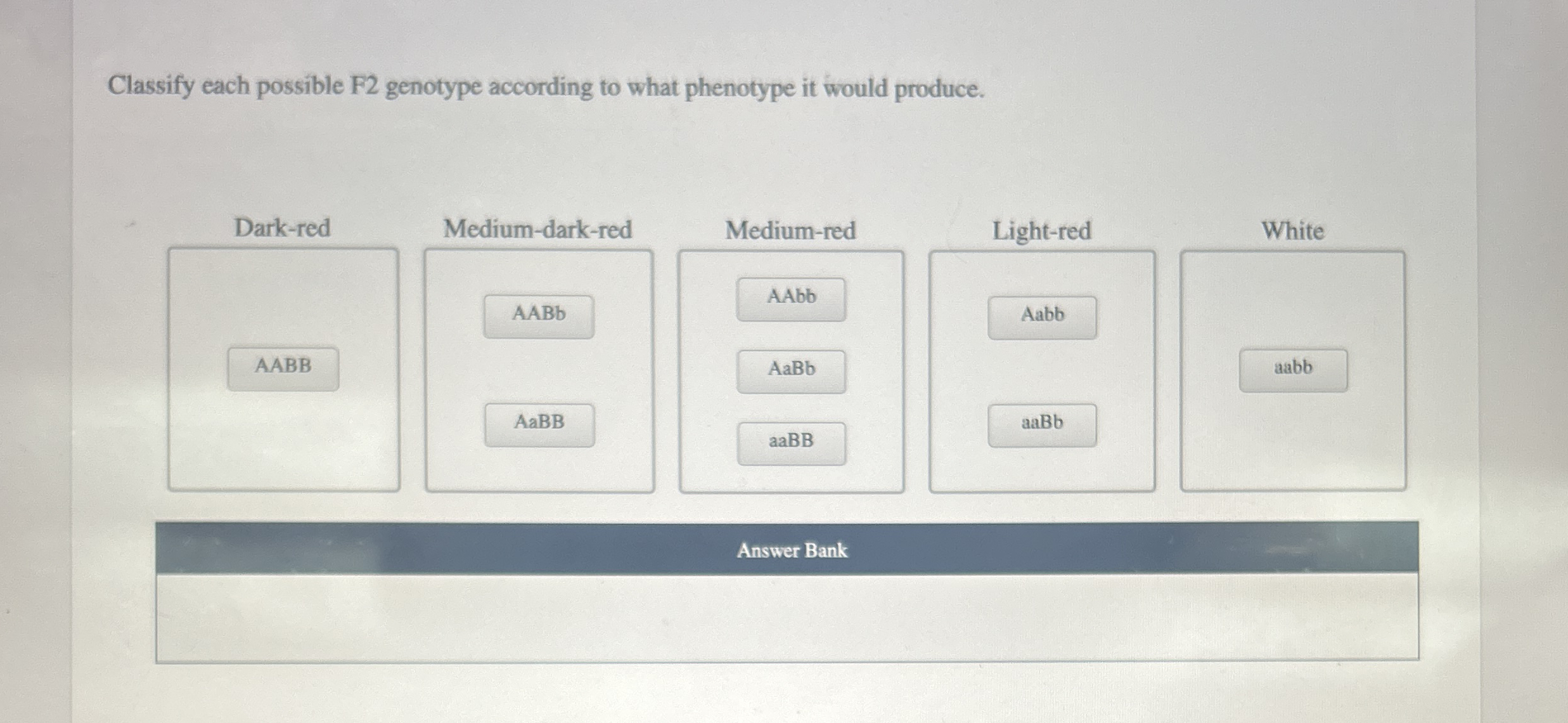 Solved Classify each possible F2 ﻿genotype according to what | Chegg.com