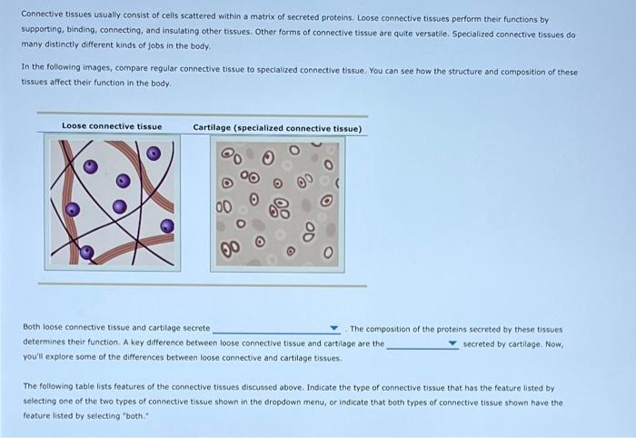Solved 1. Connective tissue Connective tissues usually | Chegg.com