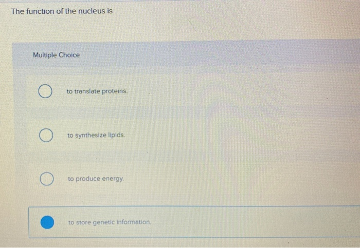 Solved The function of the nucleus is Multiple Choice to | Chegg.com