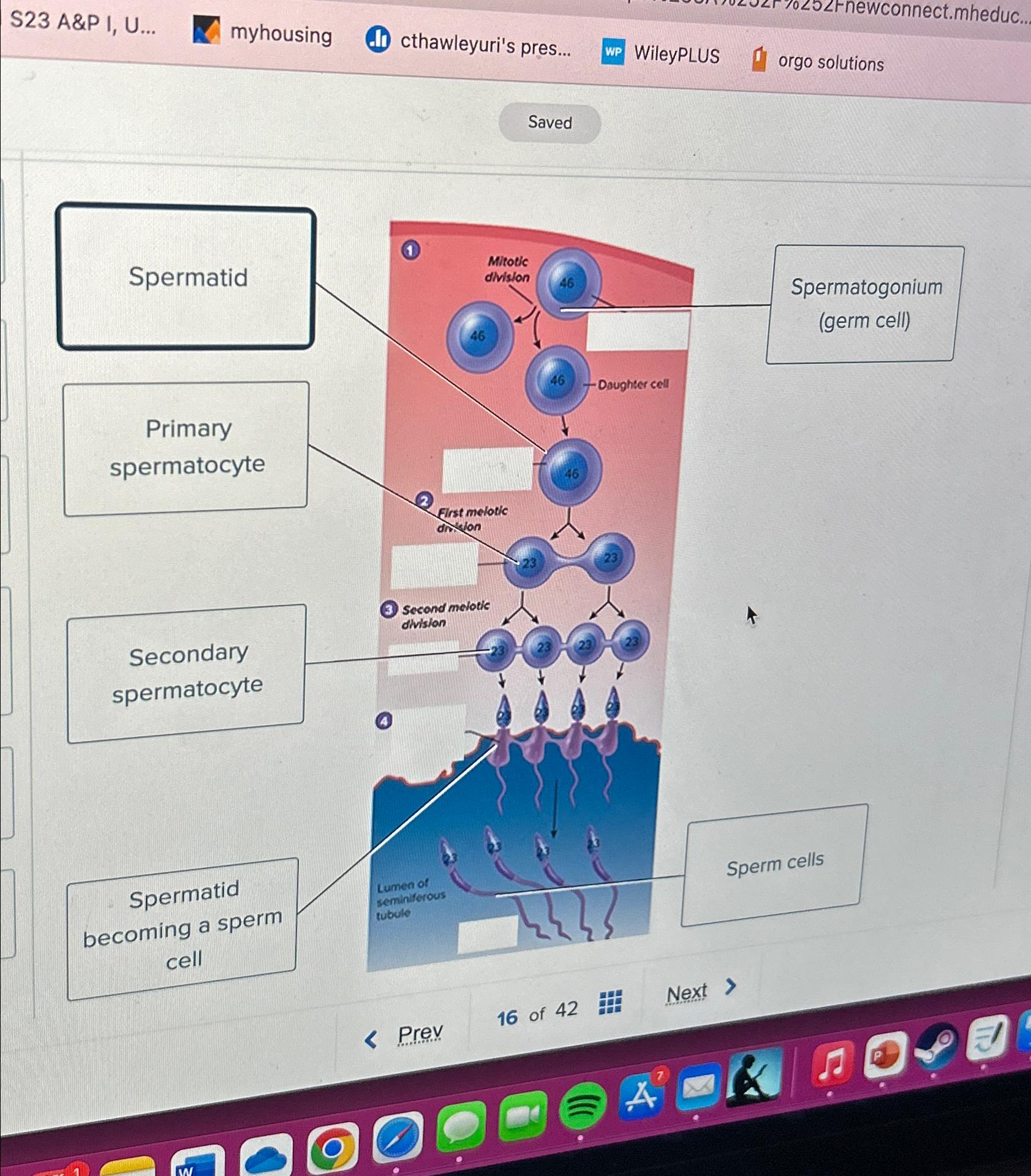 Solved label the parts | Chegg.com