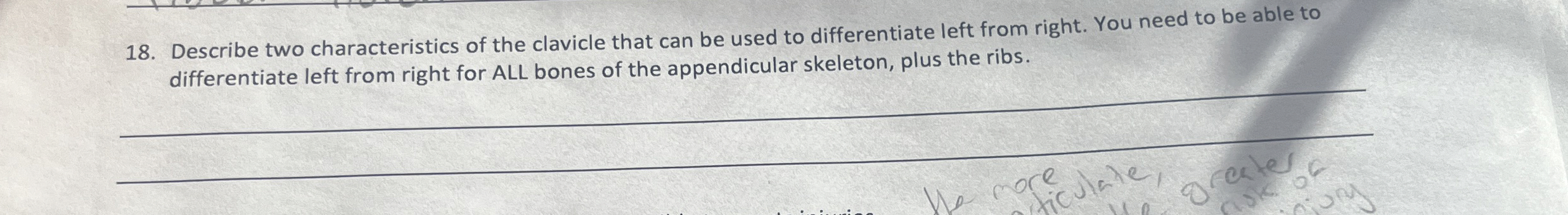 Solved Describe two characteristics of the clavicle that can | Chegg.com
