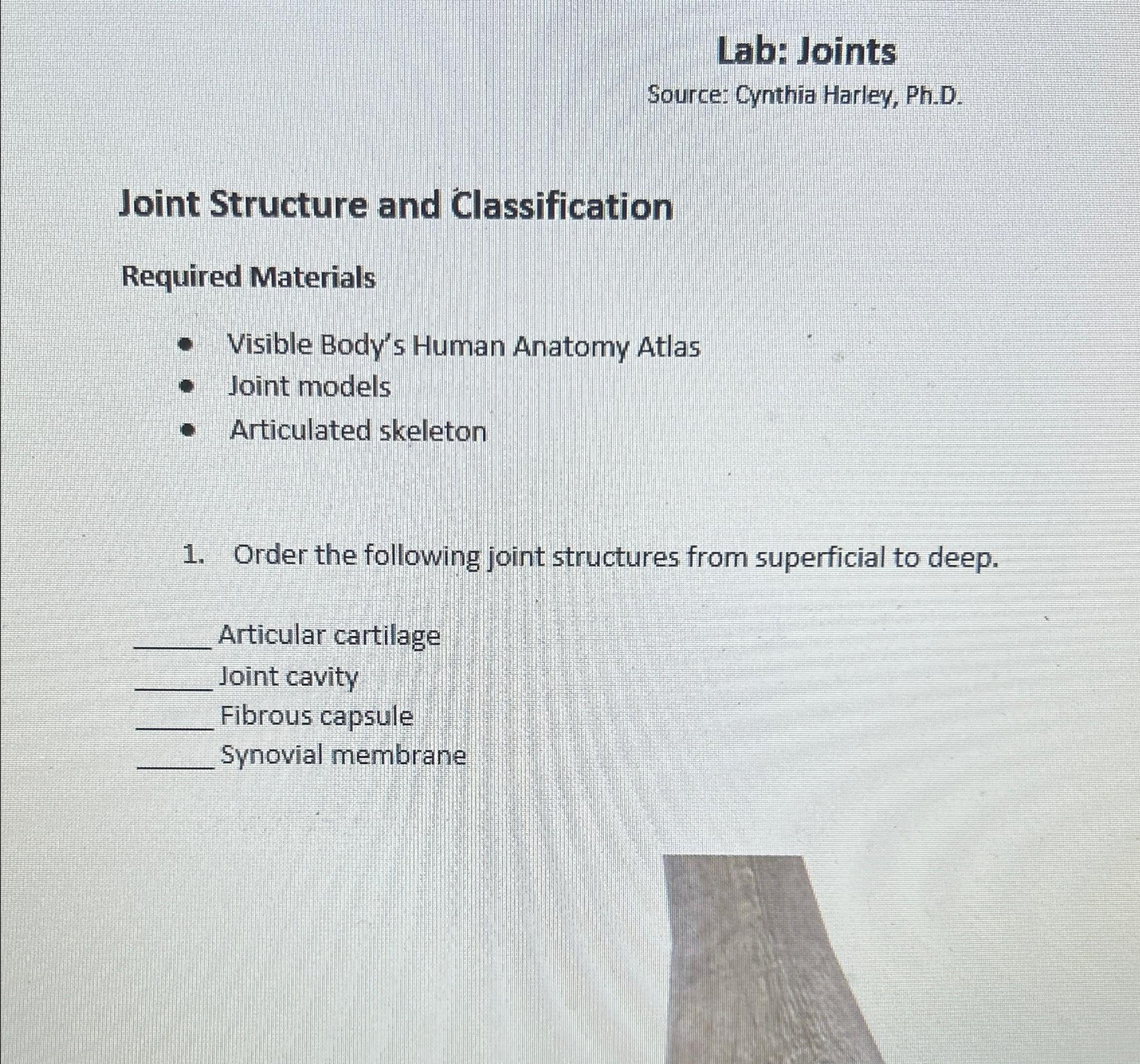 Solved Lab: JointsSource: Cynthia Harley, Ph.D.Joint | Chegg.com