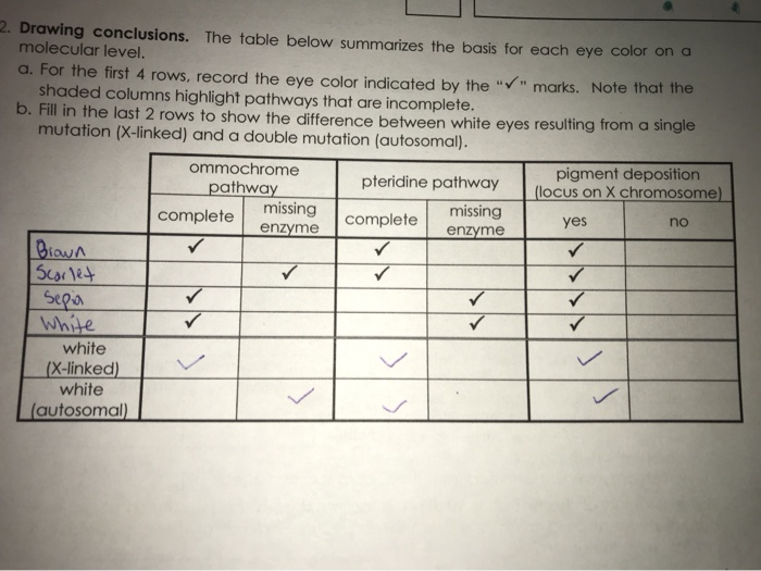 is this correct? the colors are based on the check | Chegg.com