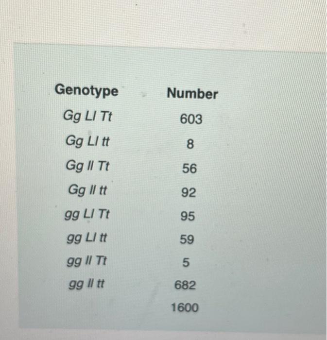 Solved Genotype Gg LI Tt Gg LI tt Gg Il Tt Gg Il tt gg LI Tt | Chegg.com