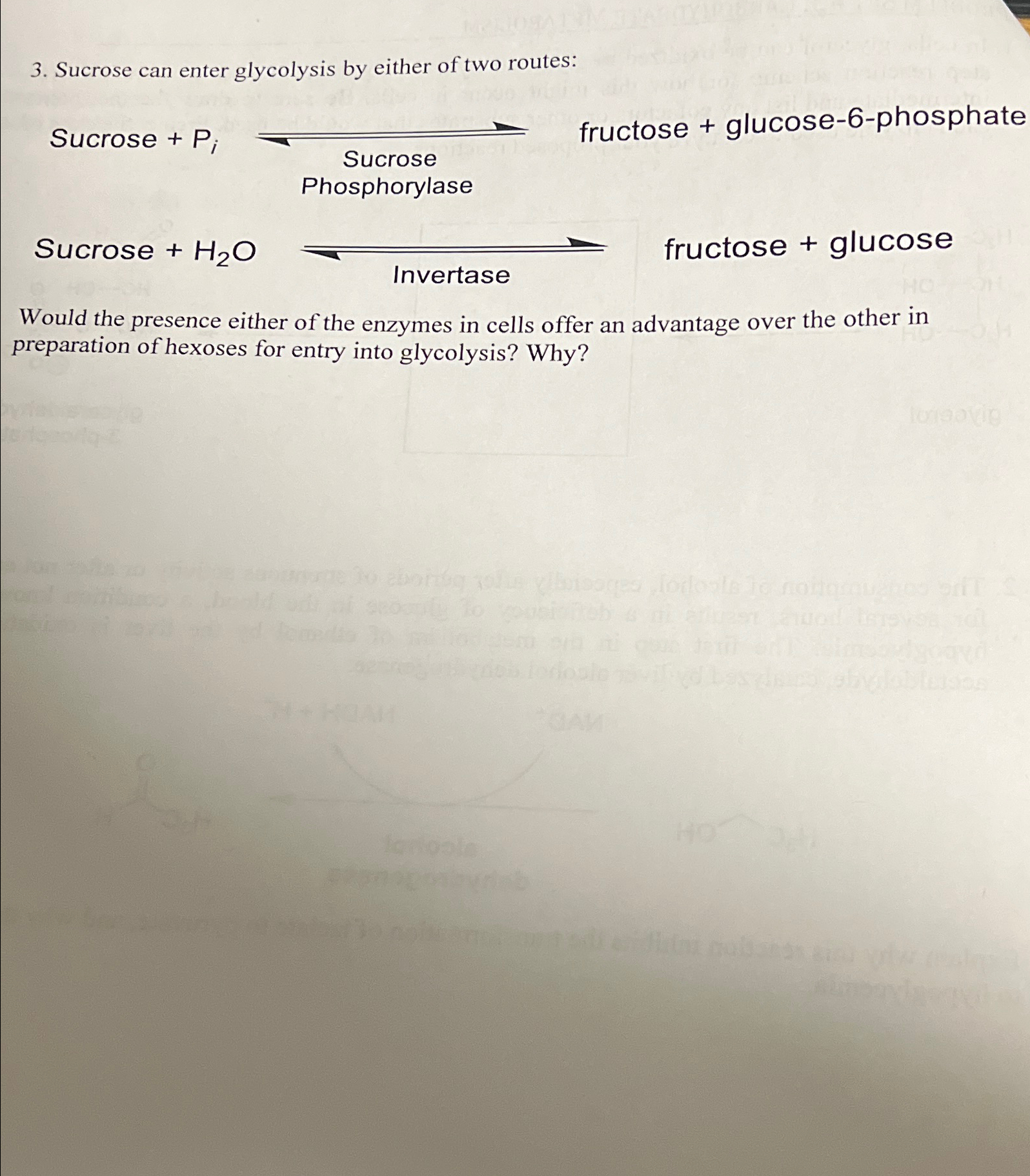 Solved Sucrose can enter glycolysis by either of two | Chegg.com