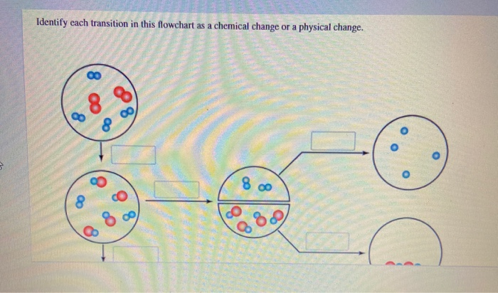 Solved Identify each transition in this flowchart as a | Chegg.com