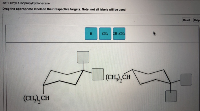 Solved cis-1-ethyl-4-isopropylcyclohexane Drag the | Chegg.com