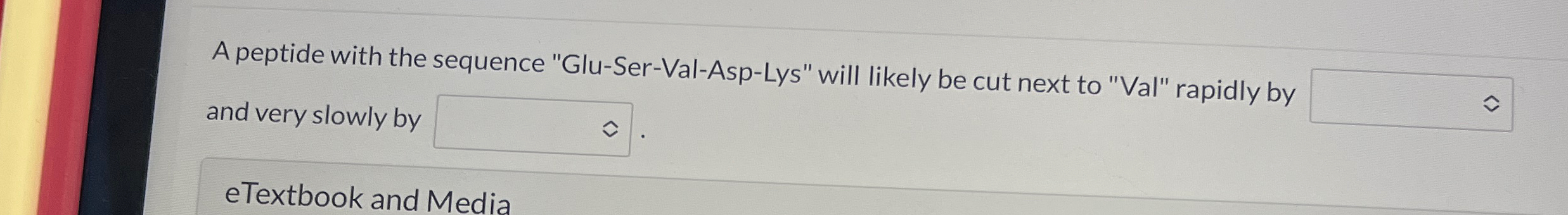 Solved A peptide with the sequence "Glu-Ser-Val-Asp-Lys" | Chegg.com