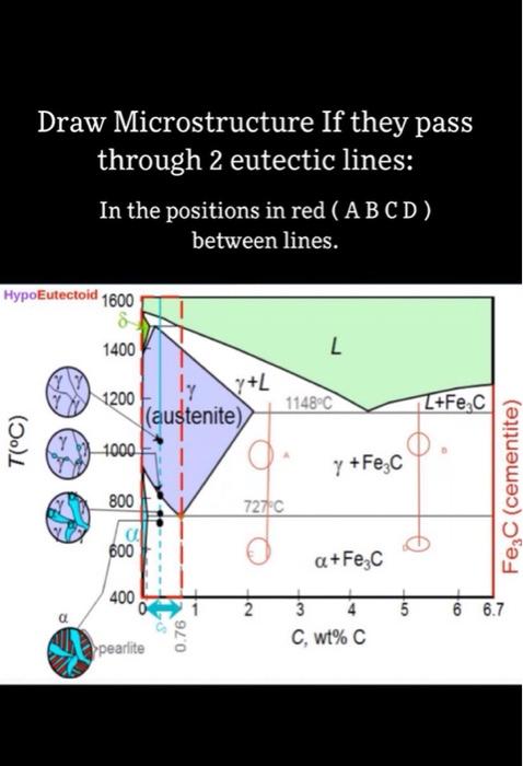 Solved Draw Microstructure If they pass through 2 eutectic | Chegg.com